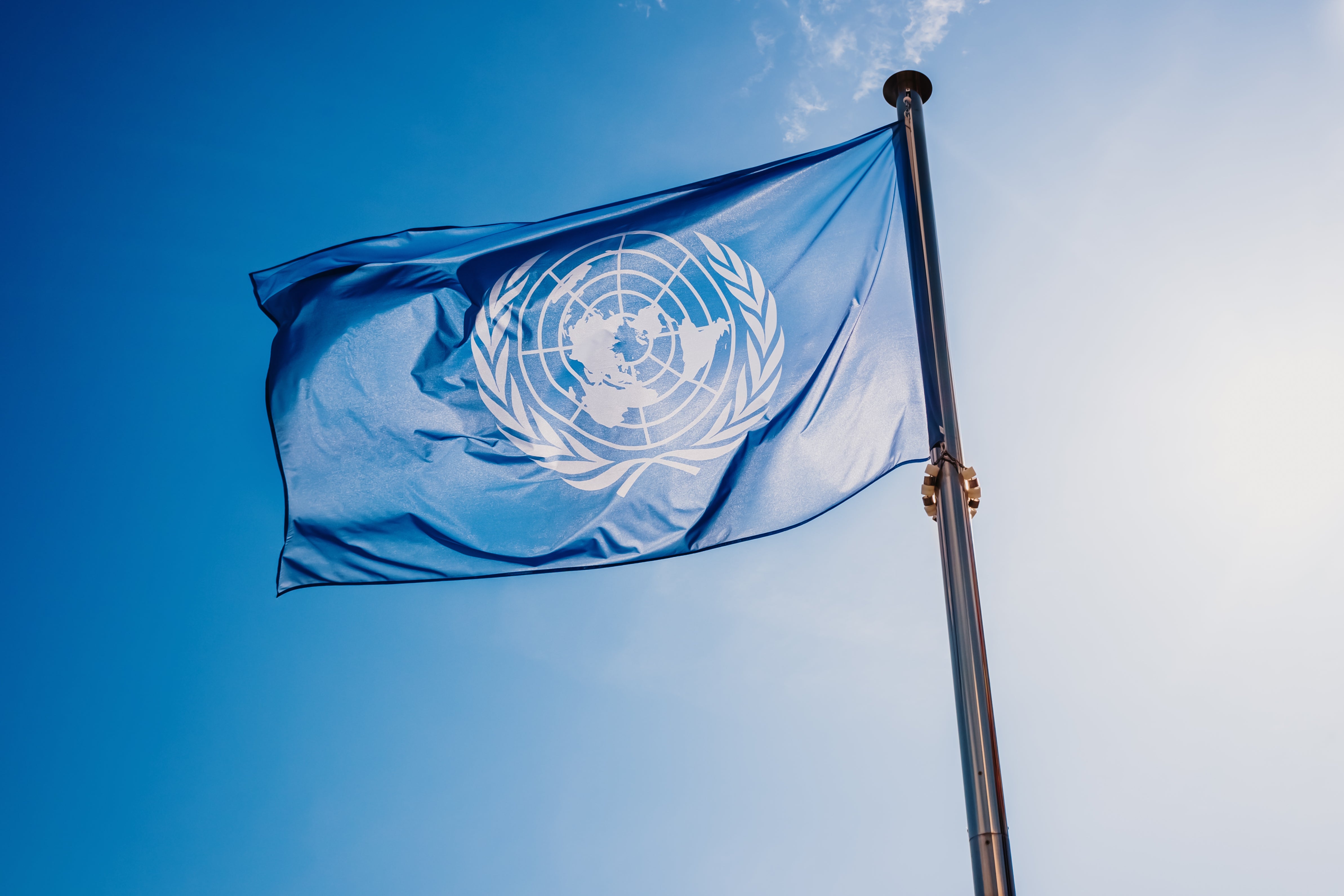 The History of the United Nations Flag and What Its Symbols Represent ...
